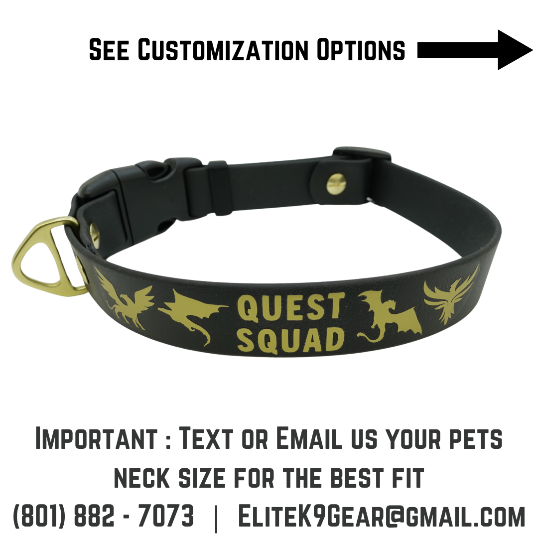 Special Edition - Quest Squad Collar